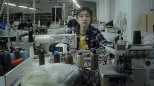 Les films - L’Extra Court